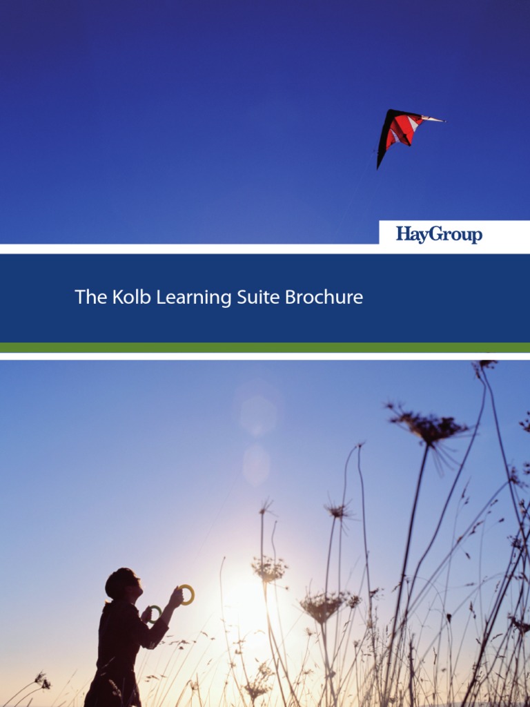 Kolb Learning Style Inventory Product Overview | PDF | Learning Styles ...