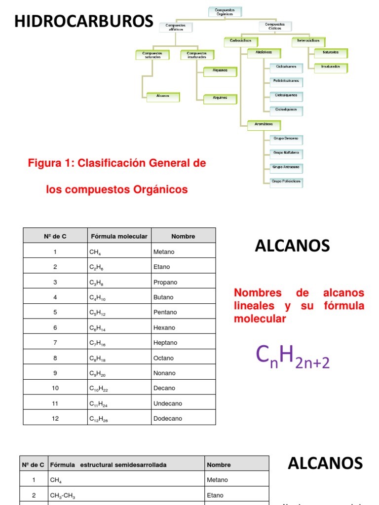 Nomenclatura de Alcanos, Alqueno y Alquinos | PDF | Alqueno | Alcano