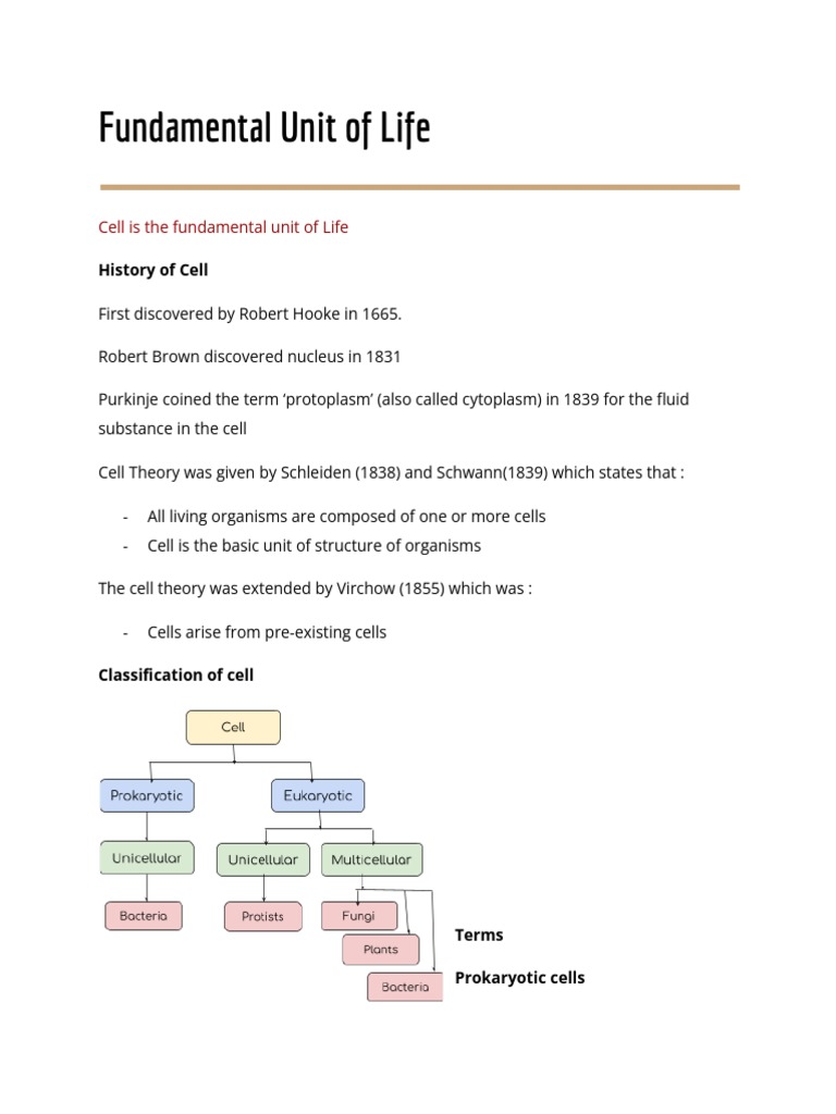 Notes Science Cells | PDF | Cell (Biology) | Endoplasmic Reticulum