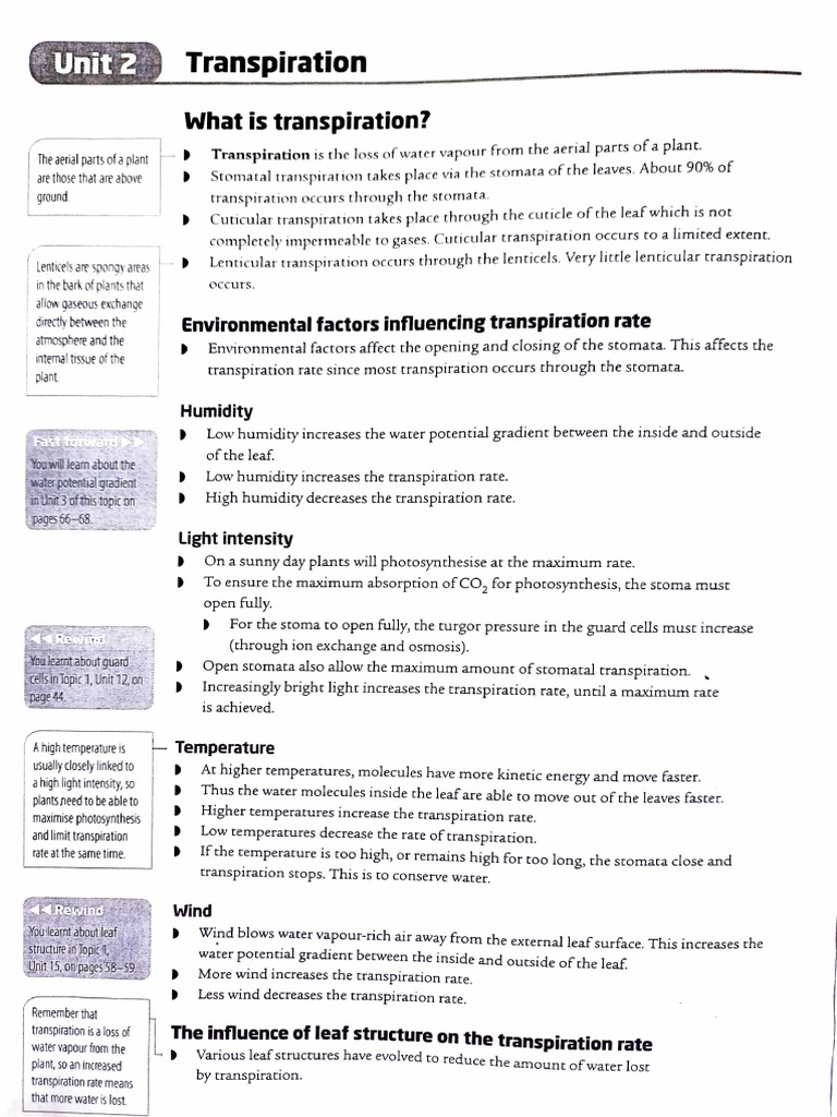 Biology Transportation in Plants | PDF | Stoma | Leaf