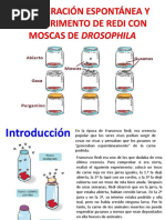 Método Científico - Experimento de Redi | PDF | Science | Método científico
