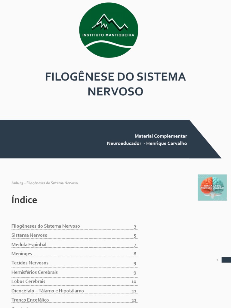 Filogênese Do Sistema Nervoso | PDF | Cérebro | Sistema nervoso