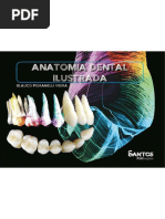 Tratamento Endodôntico - Biopulpectomia e Necropulpectomia. 13082024 ...