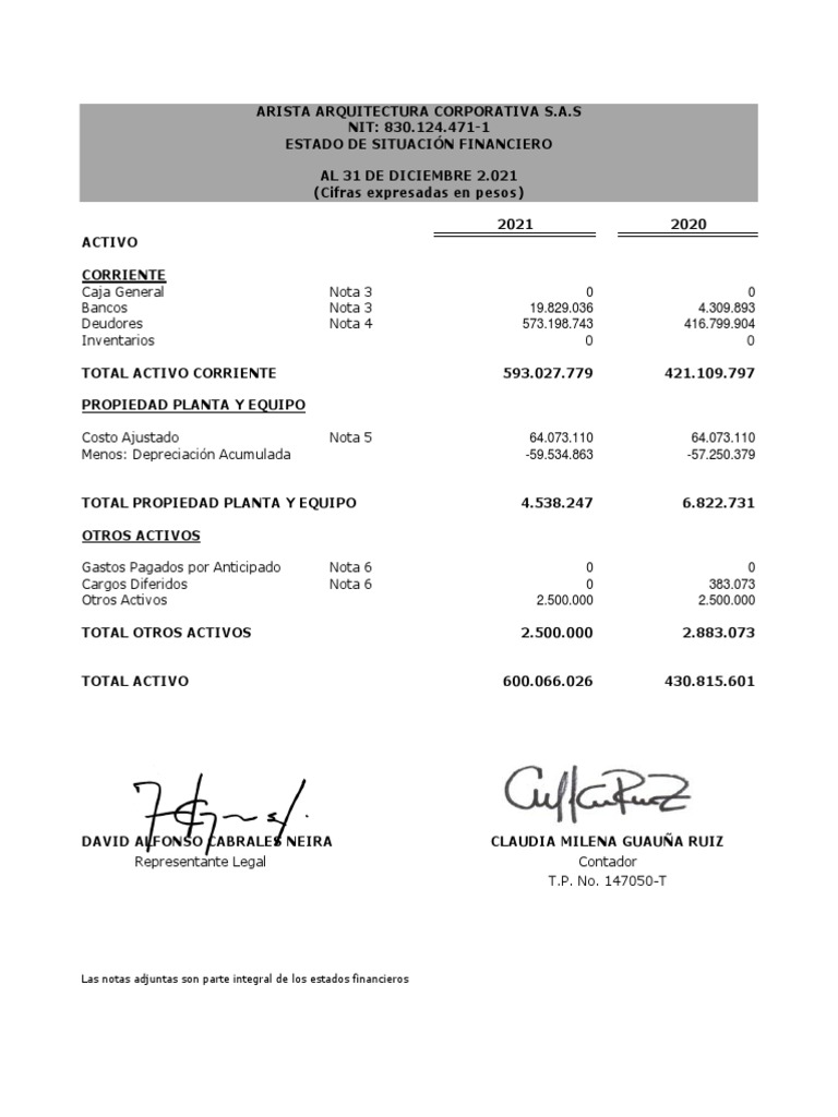 Estados Financieros Arista 2021 PDF | PDF | Contabilidad | Economía Financiera
