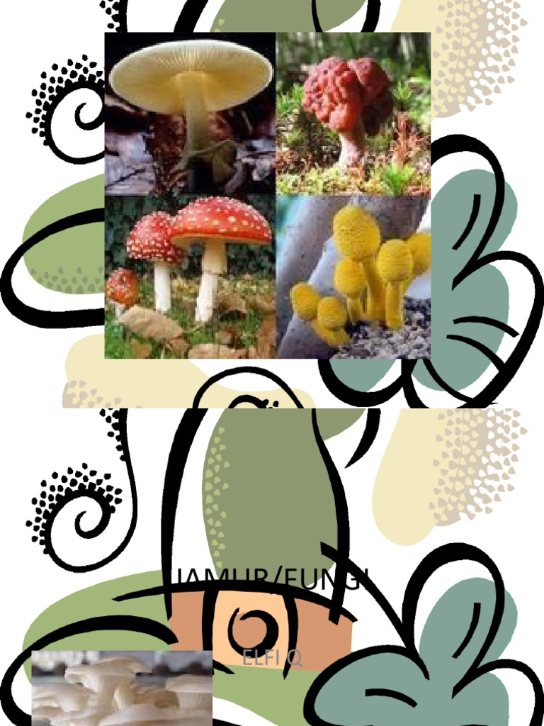 Mikologi: Klasifikasi dan Peran Jamur | PDF