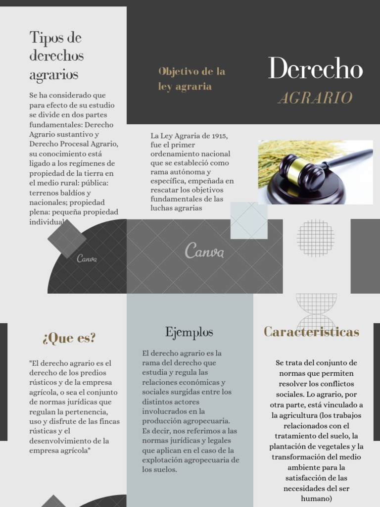 Triptico Derecho | PDF