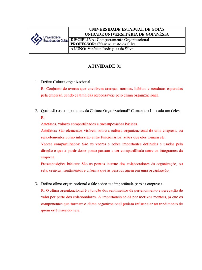 Atividade 01 - ComportamentoOrganizacional - Vinícius PDF | PDF | Cultura organizacional ...