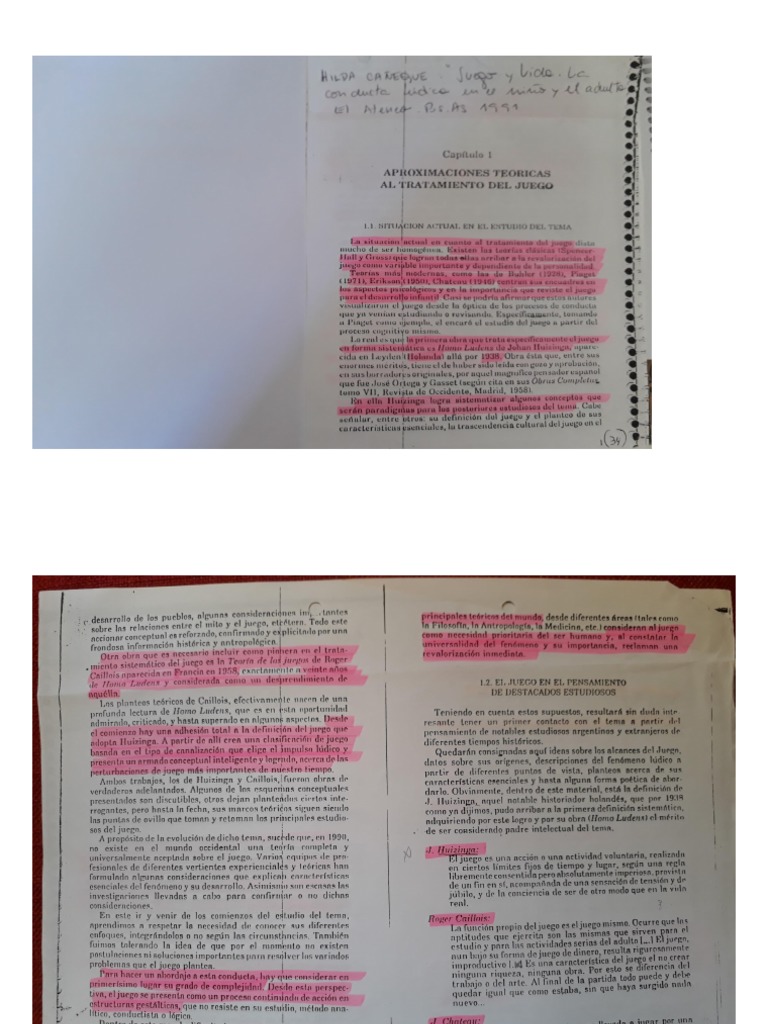 Apunte Completo Hilda Cañeque. Juego y Vida. La Conducta Ludica en El Niño y El Adulto. | PDF