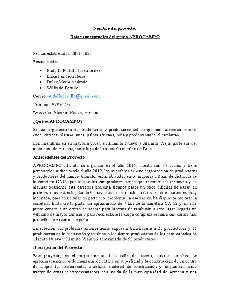 Notas conceptuales | PDF