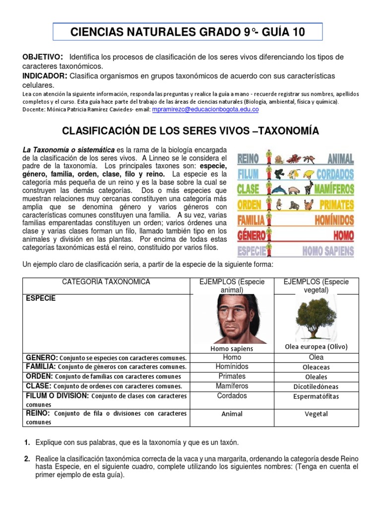 Ciencias Naturales Grado 9°-Guía 10: Clasificación de Los Seres Vivos ...