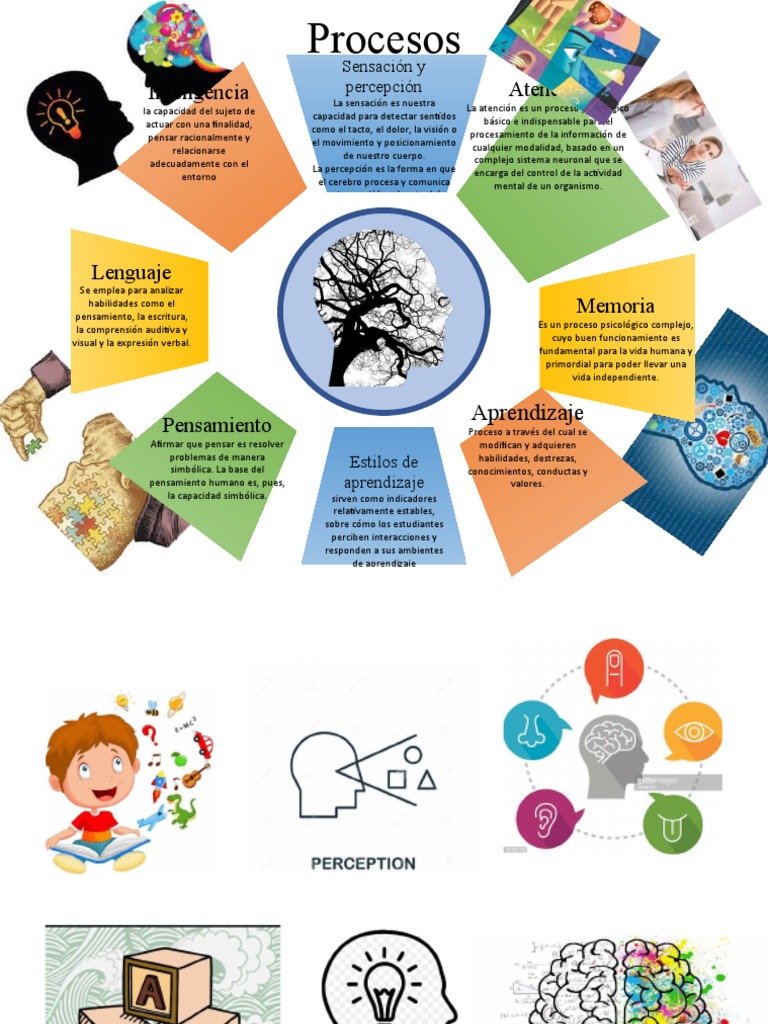 Procesos Psicologicos | PDF | Aprendizaje | Pensamiento