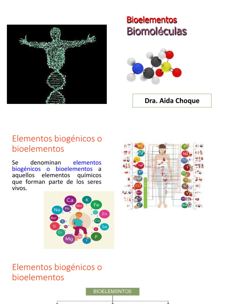Teóricas Bioelementos Biomoléculas 2do Ciclo | PDF | Carbohidratos | Lípido