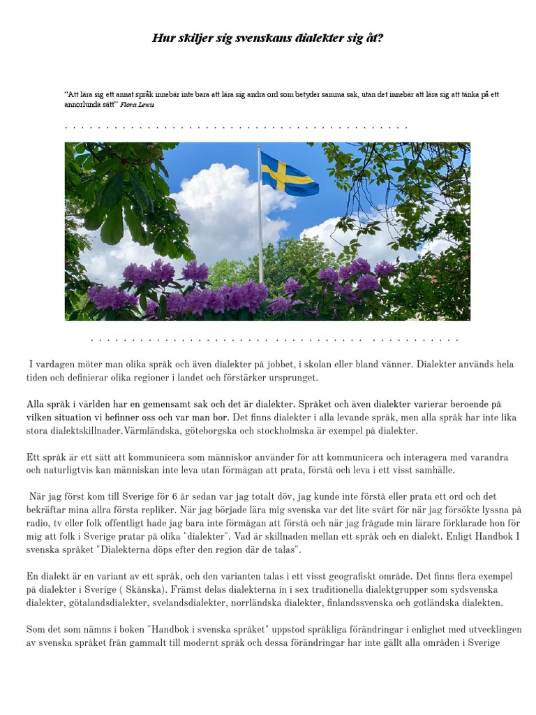 Iman Tamimi - Utredande Text - Språkförhållanden | PDF