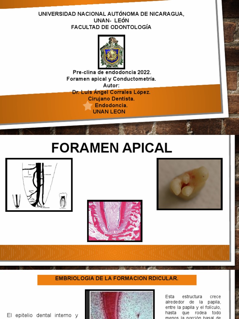 Conductometria P | PDF | Ciencias de la Salud | Diente