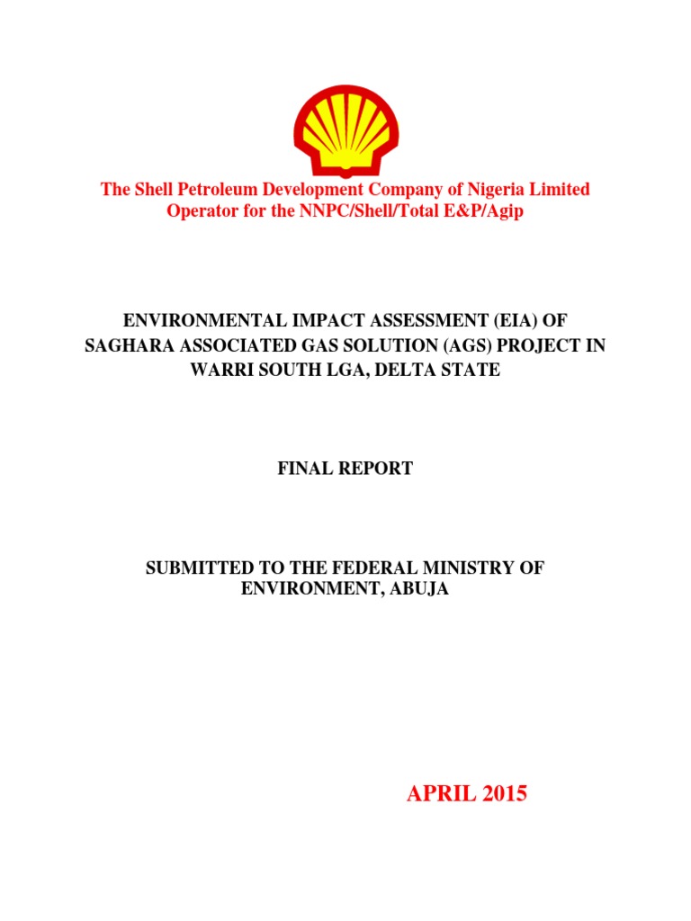 Report Saghara Associated Gas Solution Ags Project Eia PDF | PDF ...