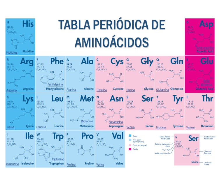 Tabla de Aminoacidos | PDF