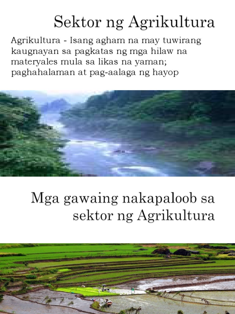 Sektor NG Agrikultura - 2021 | PDF