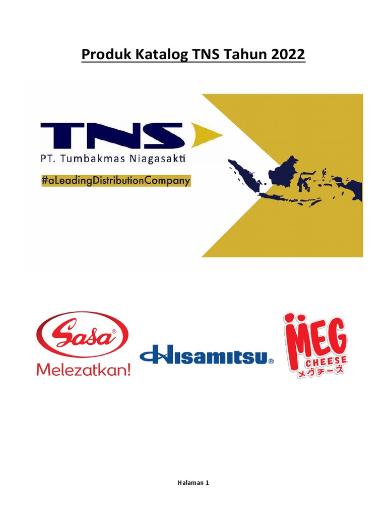 Compail Produk E-Catalog TNS (Sasa, HPI, MSBI) Tahun 2022 After Review PDF | PDF