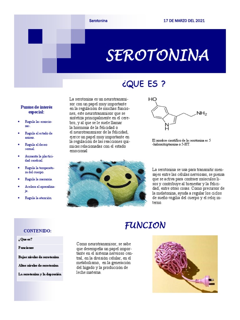 Funciones y niveles de serotonina | PDF | Serotonina | Medicina CLINICA