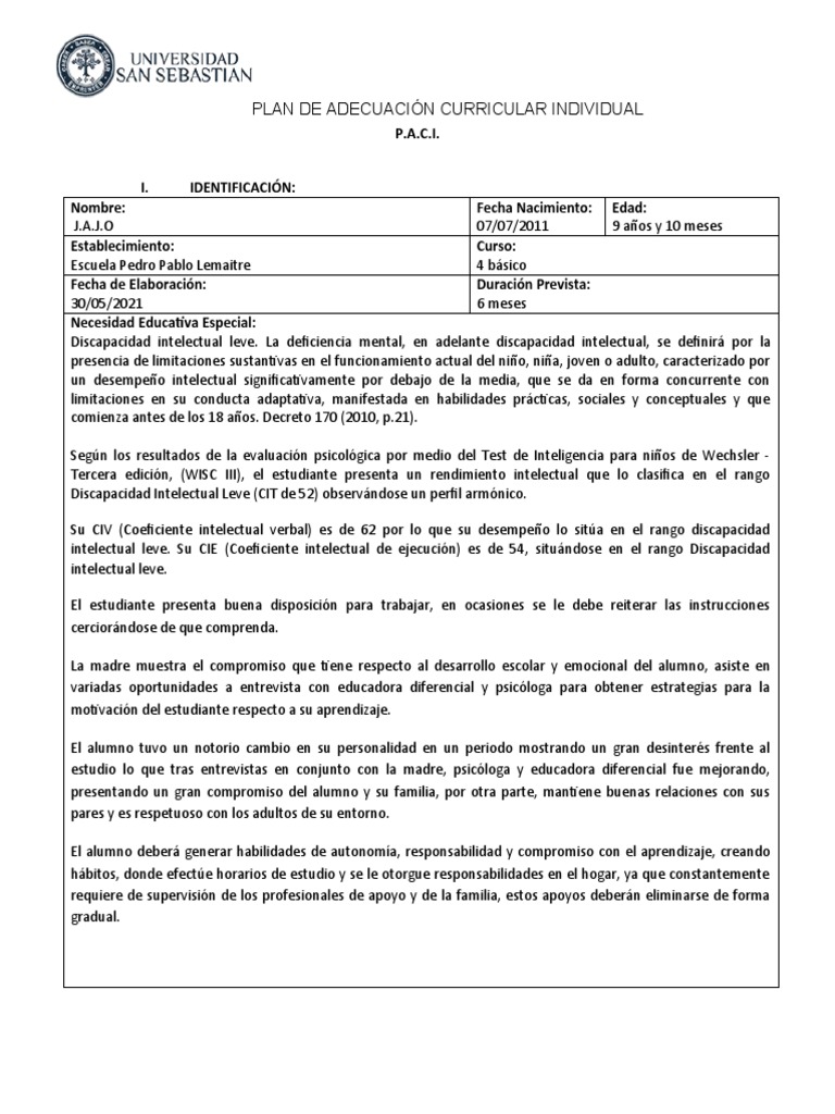 Formato PACI | PDF | Evaluación | Maestros