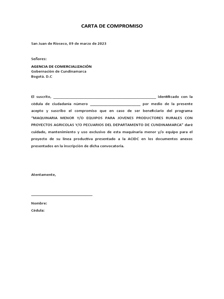 Carta de Compromiso | PDF
