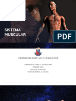 Nomes de 100 Músculos Do Corpo Humano | PDF | Sistema Locomotor ...