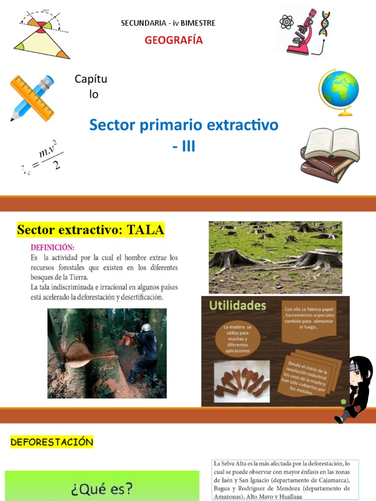 Sector Primario Extractivo - Iii: Capítu Lo | PDF