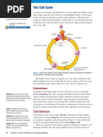 ICSE - X - Structure of Chromosomes Cell Cycle and Cell Division 2 ...