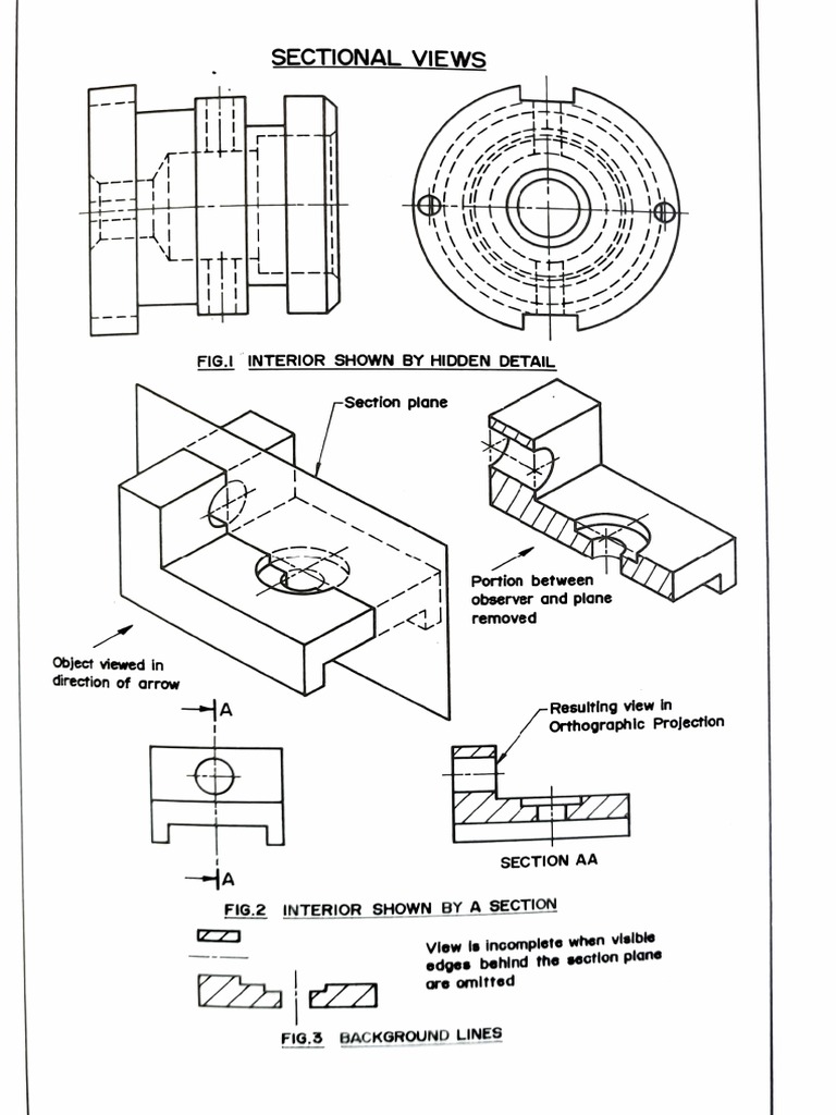 Sectioning Notes And Question Pdf