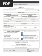 DC2 PDF Formato Editable Descargable | PDF