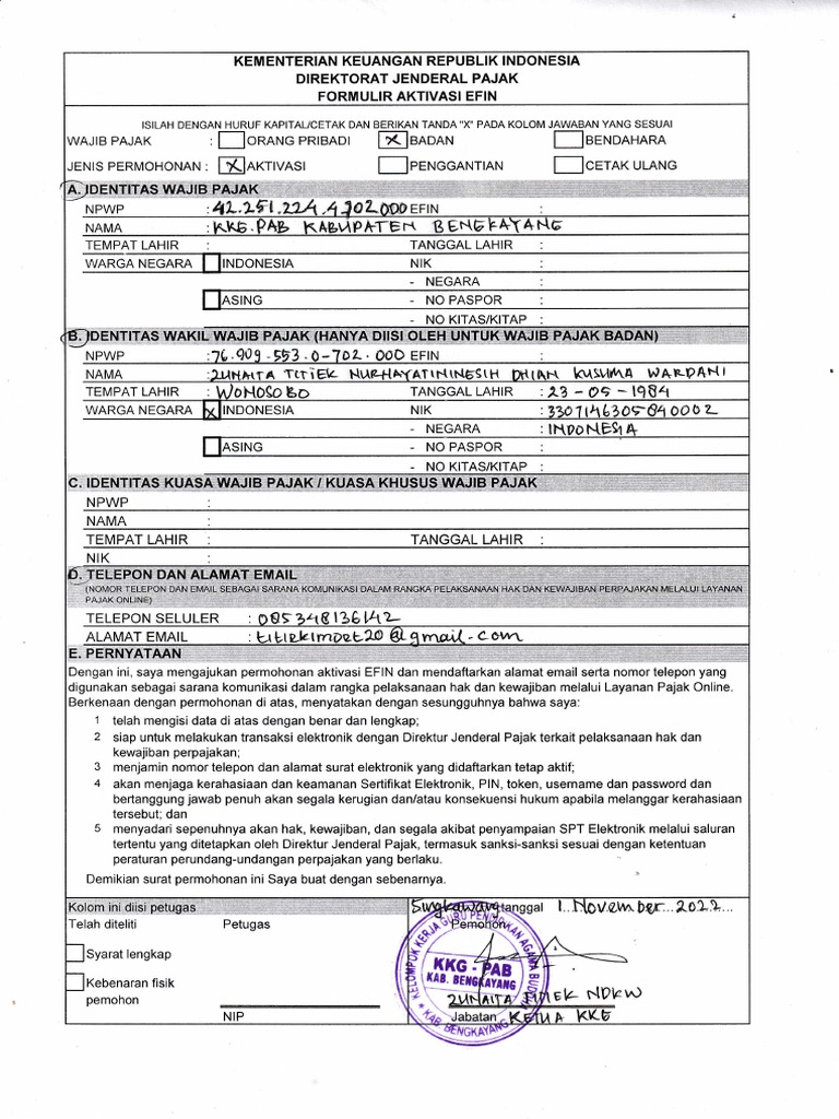 Formulir Efin KKG Bky | PDF