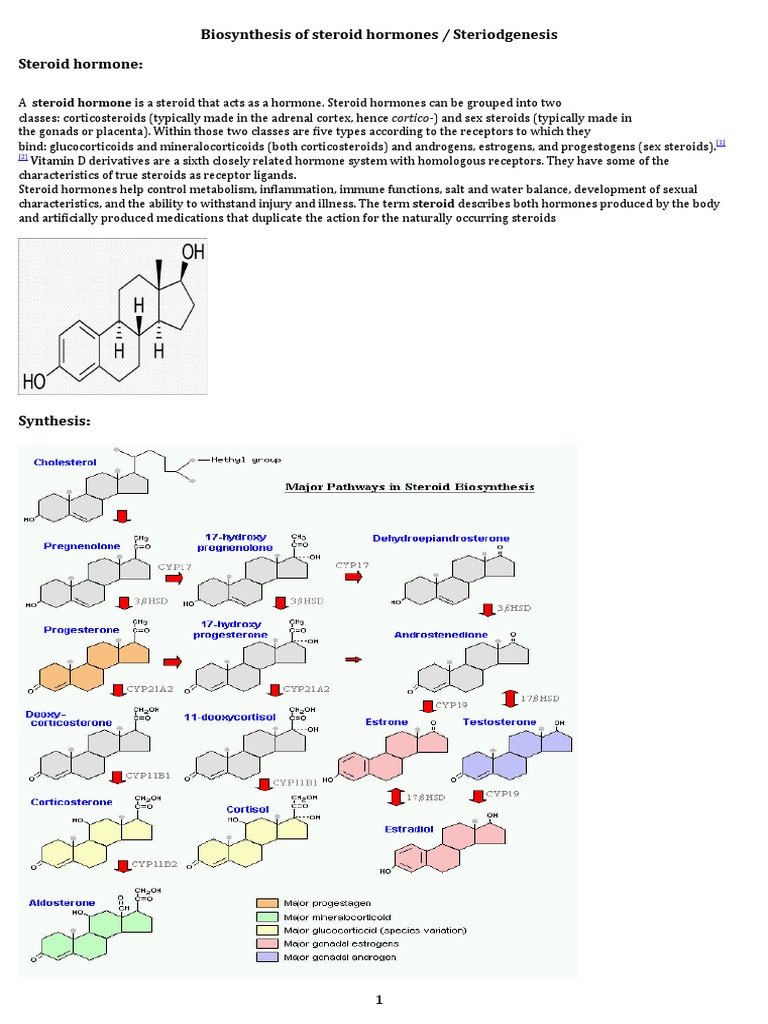 Biosynthesis of Steroid Hormones / Steriodgenesis Steroid Hormone | PDF ...