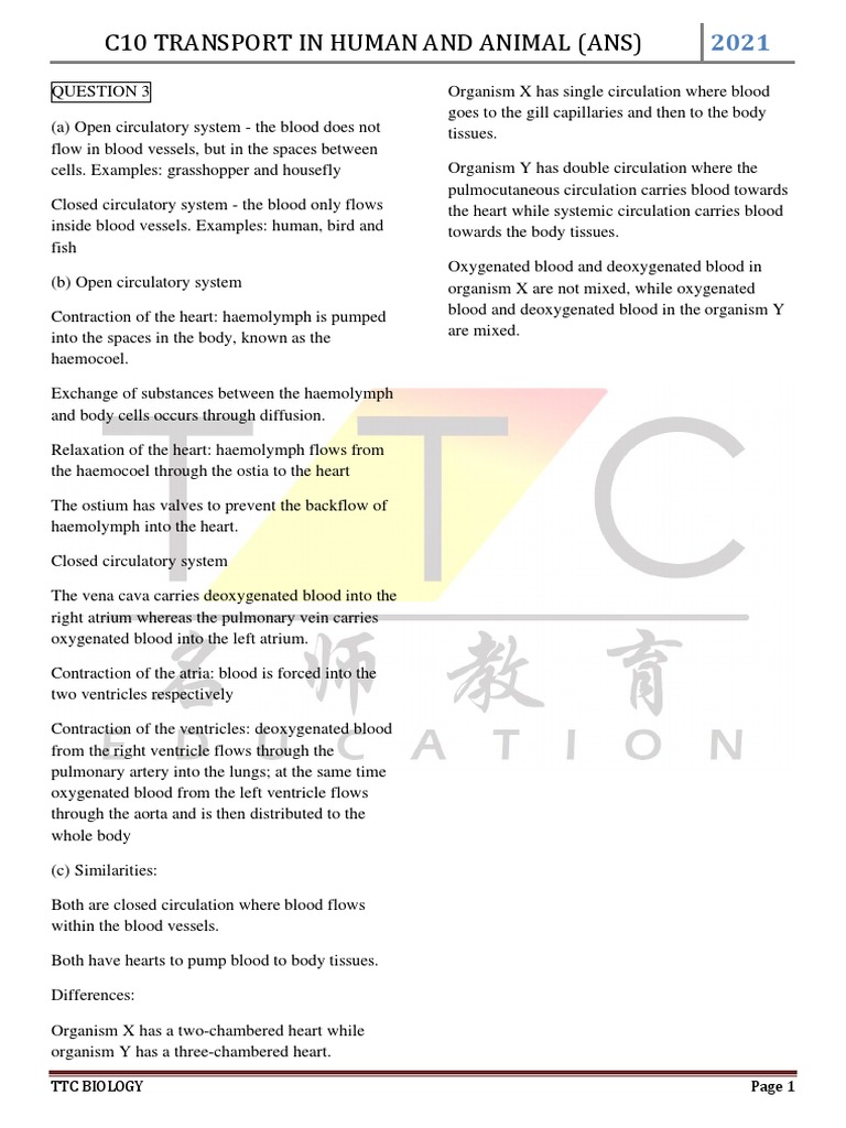 C10 Transport in Human and Animal (Ans) | PDF | Heart | Atrium (Heart)