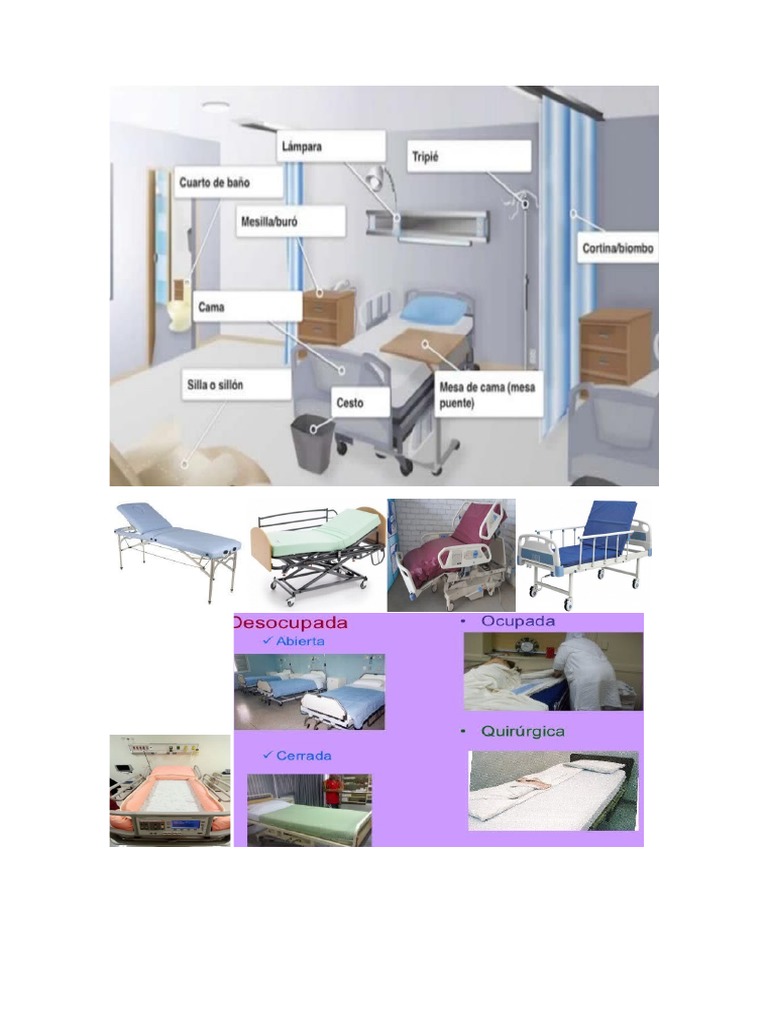 Bases Imagenes | PDF