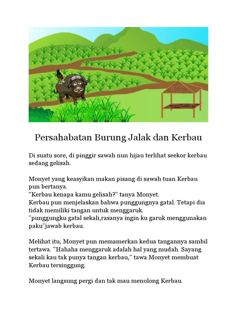 Persahabatan Burung Jalak Dan Kerbau | PDF | Griya & Taman
