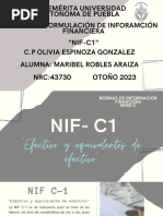 Nif C13 | PDF | Estado financiero | Contabilidad