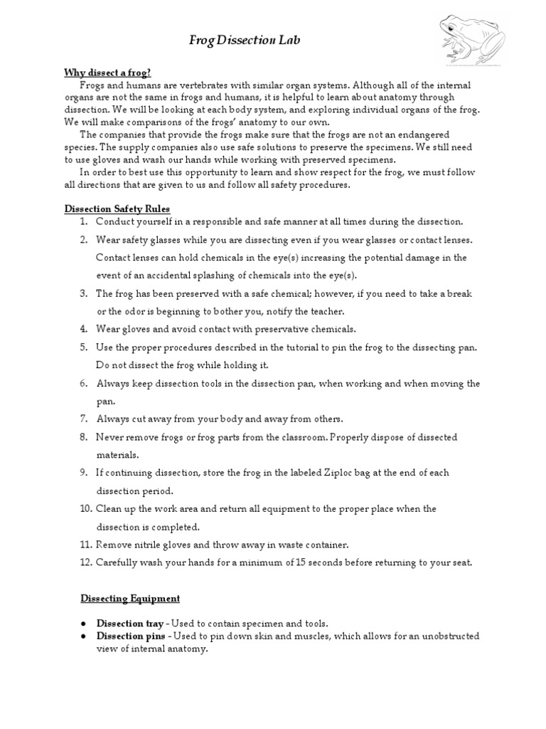 Frog Dissection Lab | PDF | Small Intestine | Gastrointestinal Tract