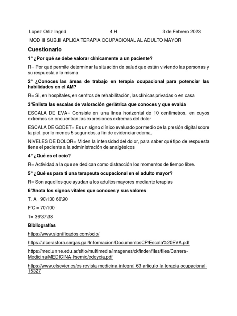 Ingrid Aplica Terapia Ocupacional | PDF | Terapia ocupacional | Aprendizaje