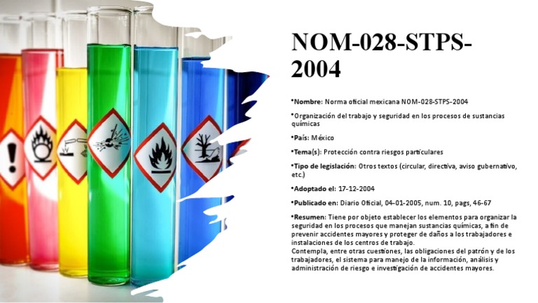 Nom 028 STPS 2004 | PDF