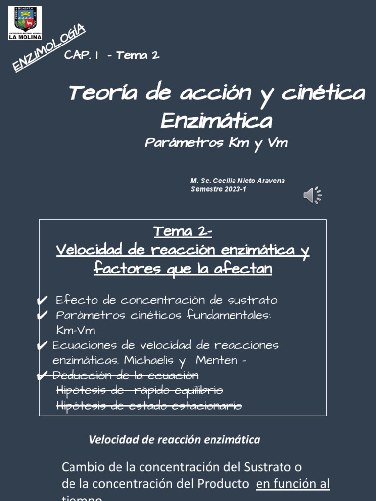 Tema 2 2023-1 Velocidad de Reacción - Teoria de Accion Ycinética Enzimatica PDF | PDF | La ...
