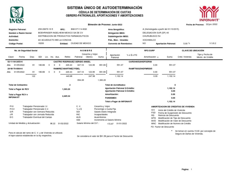 Cedula Oportunobim Obr-Pat - Bimestral Infon | PDF | Relaciones ...