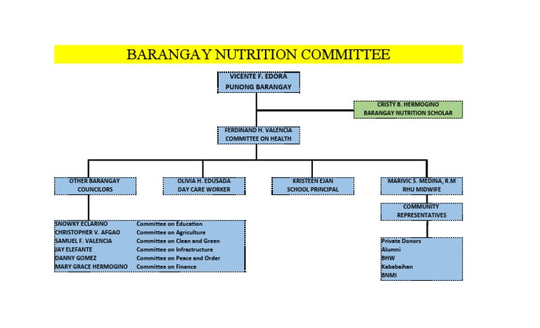 Barangay Nutrition Committee: Vicente F. Edora Punong Barangay | PDF