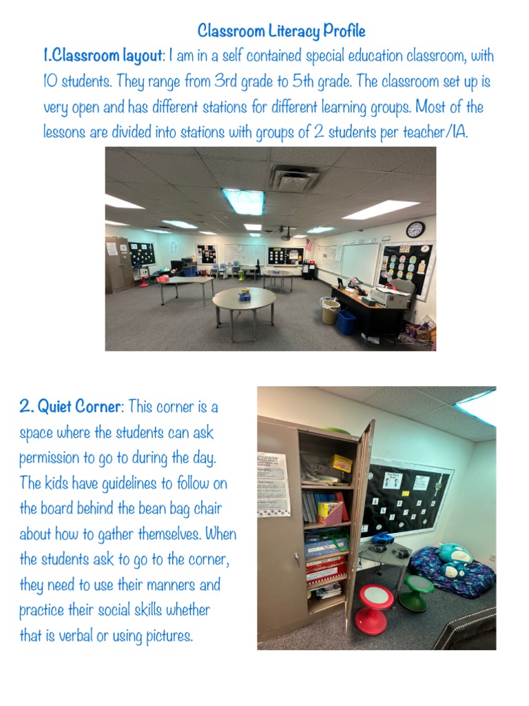 Classroom Literacy Profile | PDF | Classroom | Teachers