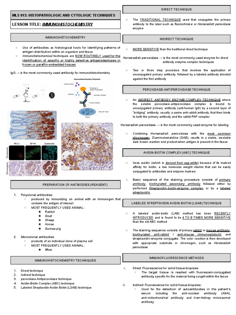 Immunohistochemistry Techniques Overview | PDF | Immunohistochemistry ...