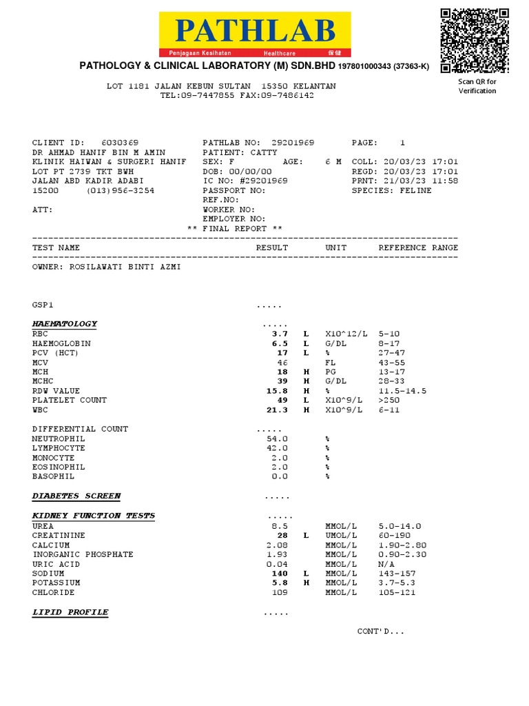 Pathology & Clinical Laboratory (M) SDN - BHD: Haematology | PDF ...