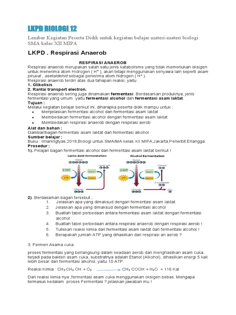 LKPD Respirasi An Aerob | PDF