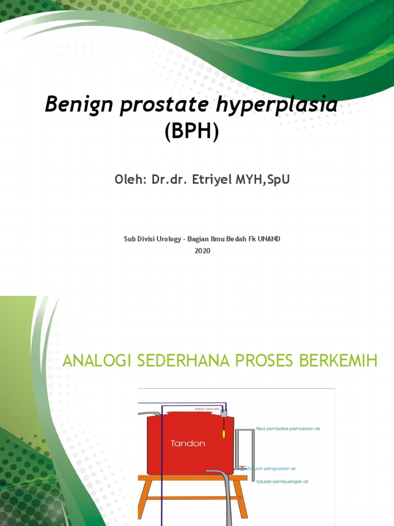KP 3.1.4.4 Penyakit Degeneratif Sistem Urogenitalia Pria.pptx.pdf | PDF