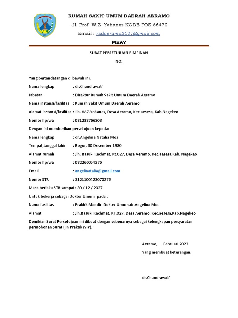 SURAT PERSETUJUAN PIMPINAN | PDF