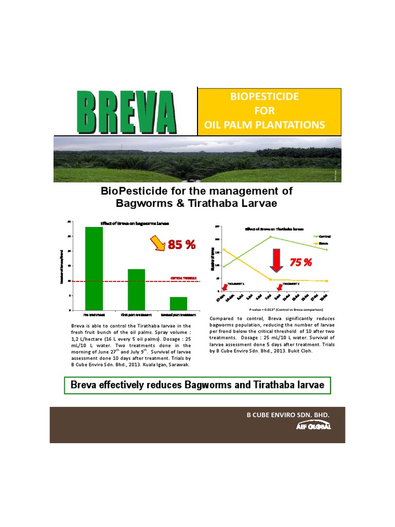 Fiche Generale Breva en | PDF