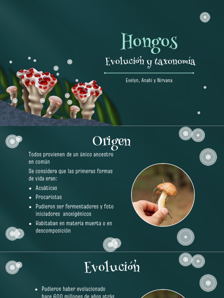 Evolución y Taxonomía de Hongos | PDF | Hongo | Organismos